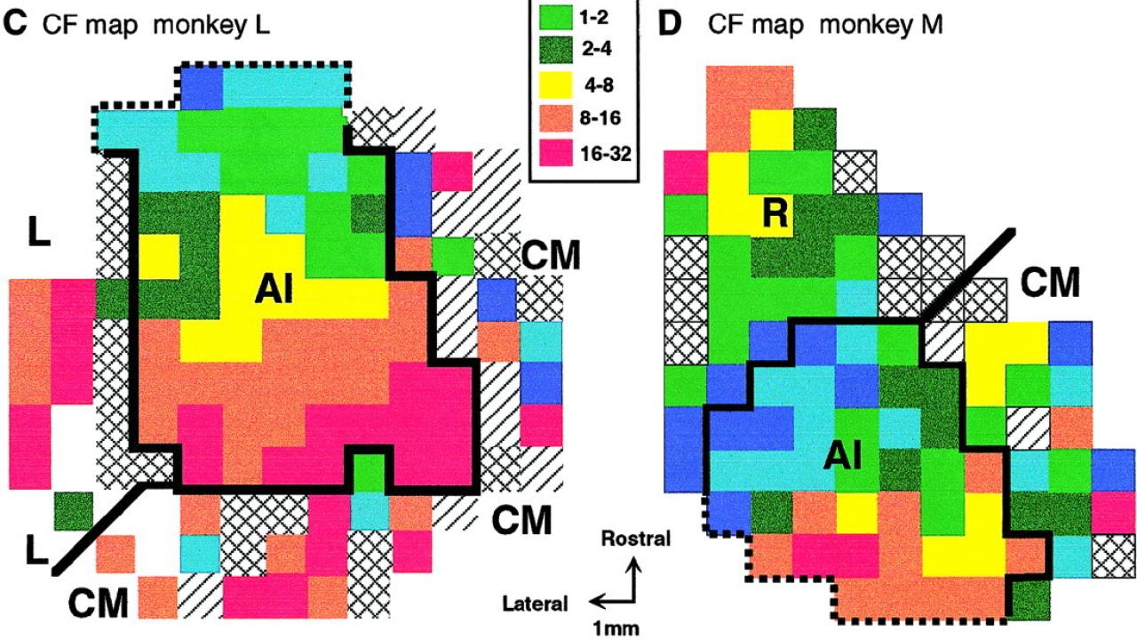 Research | Recanzone Lab